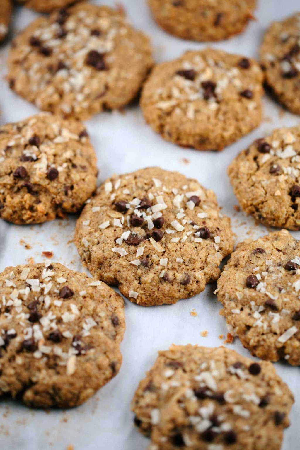 Lactation Cookies Recipe - Jessica Gavin
