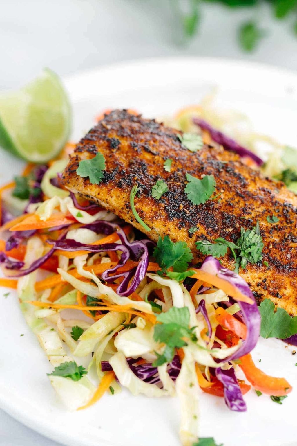 Seared Mahi Mahi with Crunchy Coleslaw - Jessica Gavin