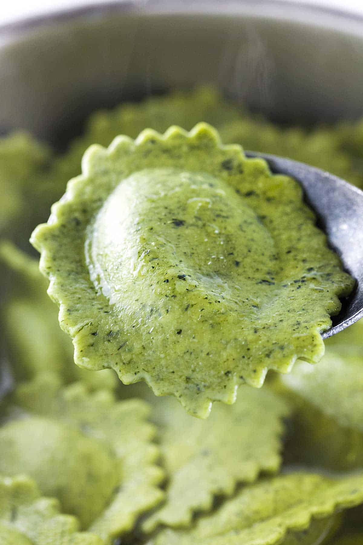 Roasted Salmon with Asparagus Ravioli - Jessica Gavin