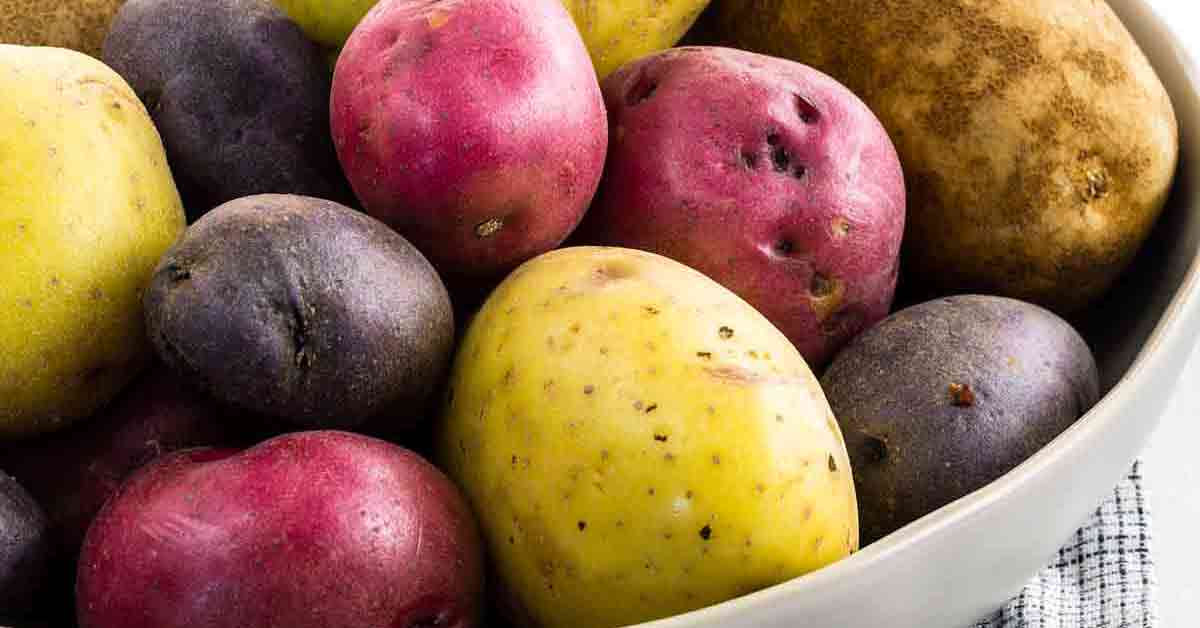 A Guide to Popular Types of Potatoes - Jessica Gavin