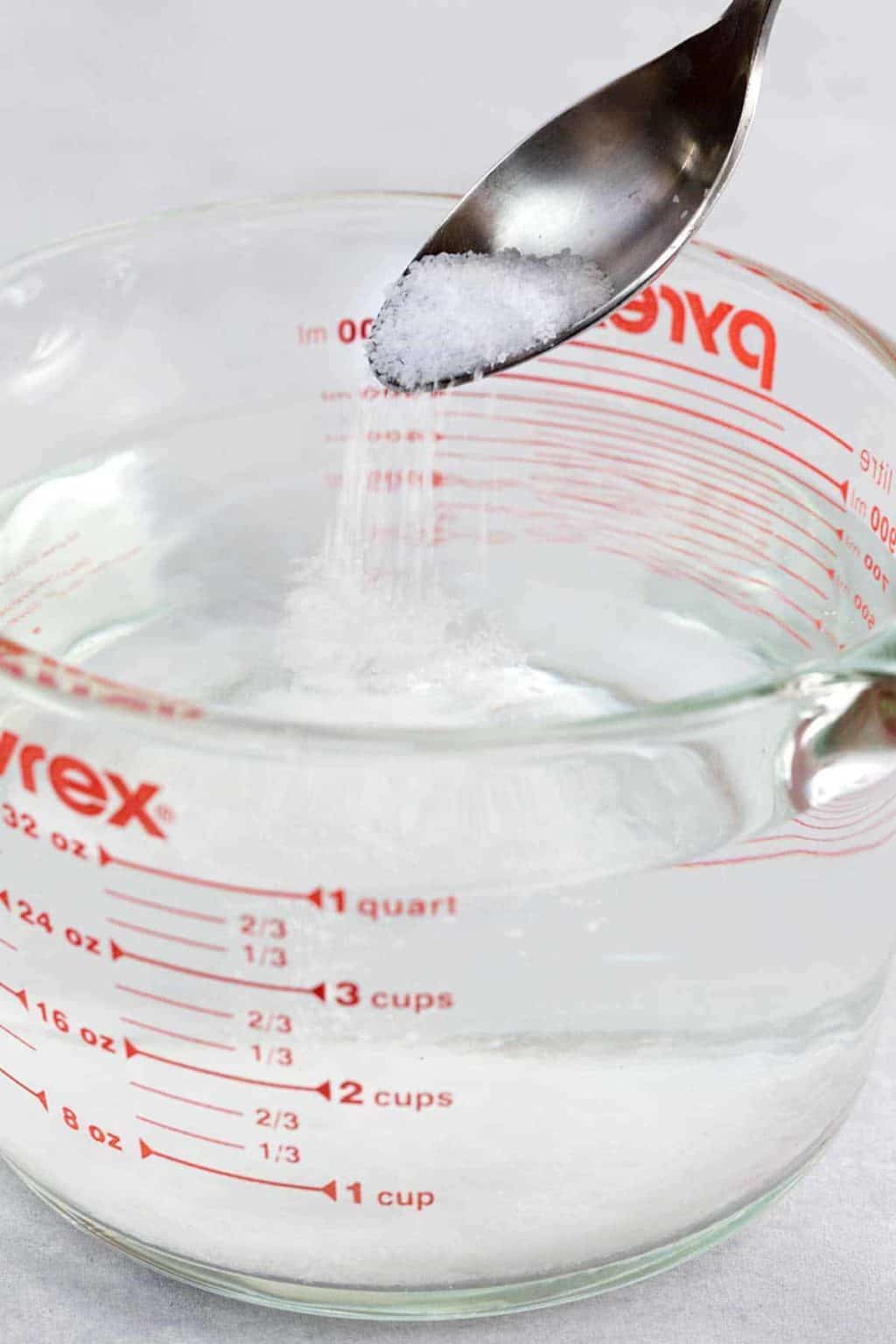 The Benefits of Brining Chicken or Turkey - Jessica Gavin