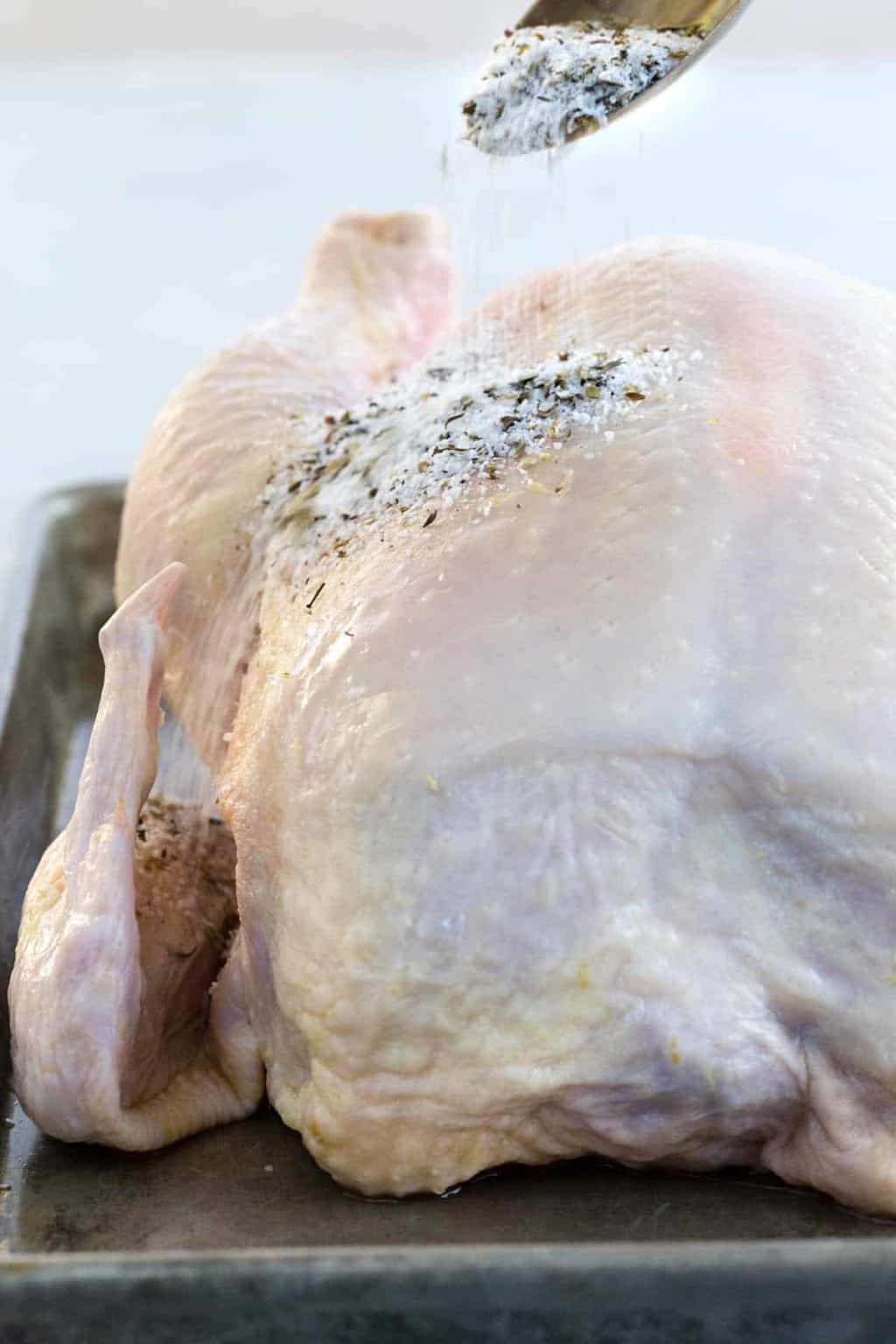 Dry Brine Spatchcock Chicken Recipe - Jessica Gavin