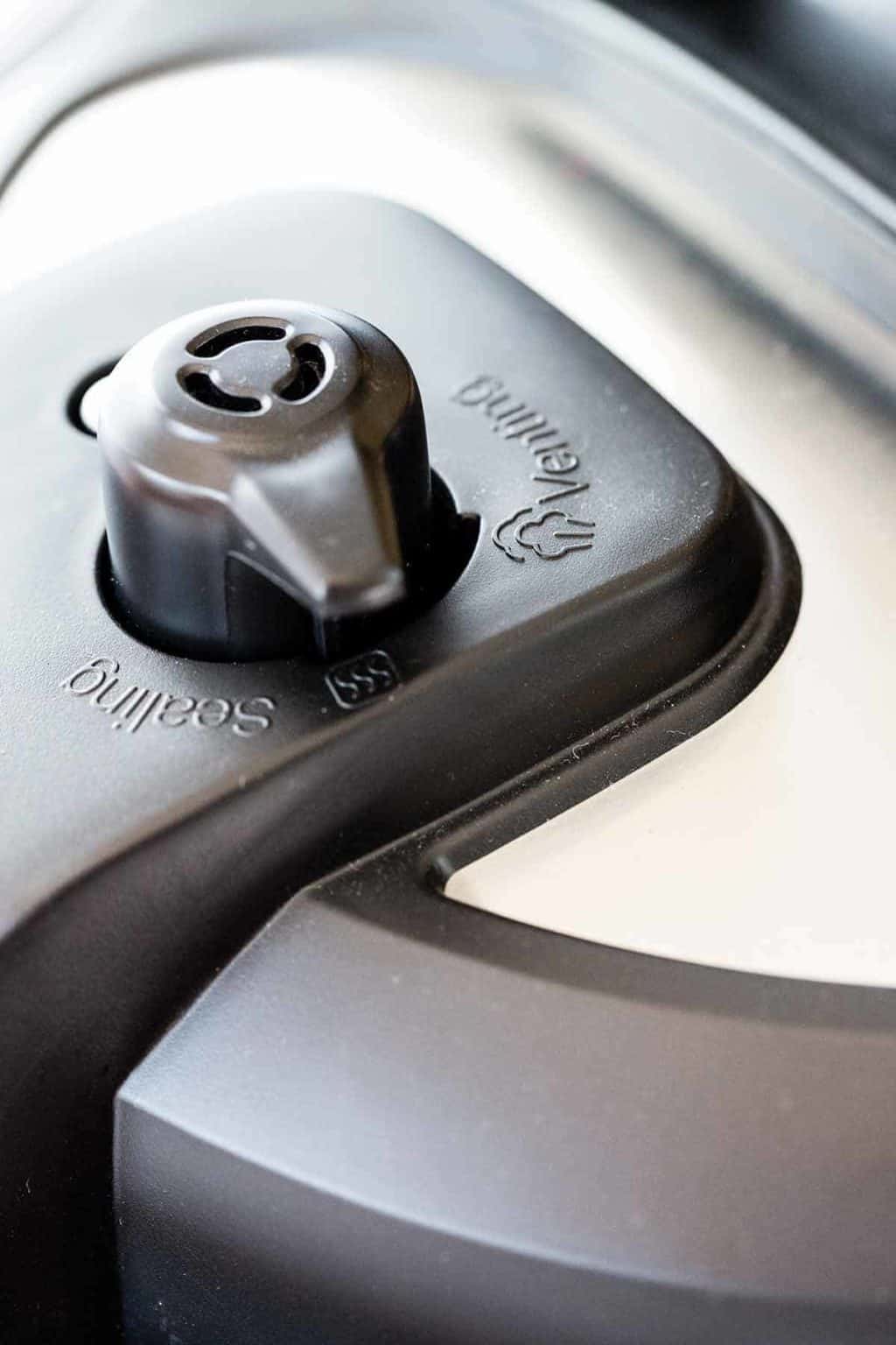 Instant Pot Guide (Electric Pressure Cooking) - Jessica Gavin