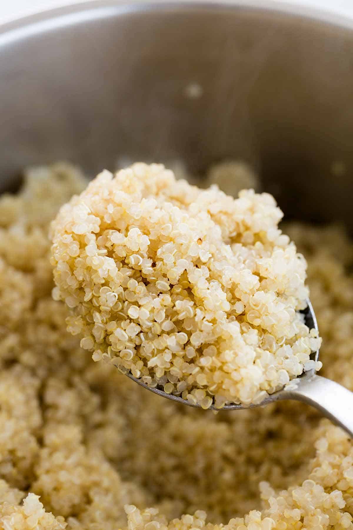 How To Cook Quinoa On The Stovetop Jessica Gavin How To Cook Quinoa On The Stovetop Jessica Gavin