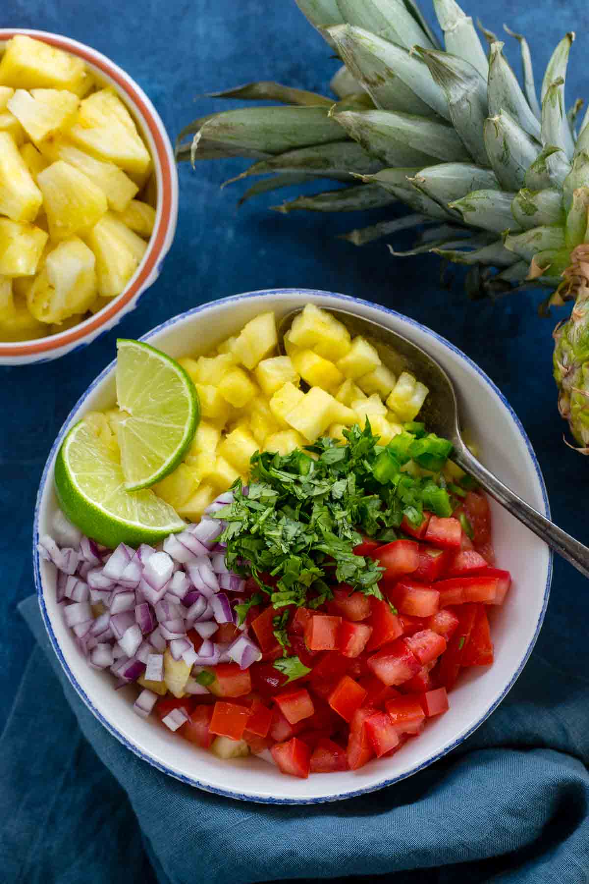 Pineapple Salsa Recipe - Jessica Gavin