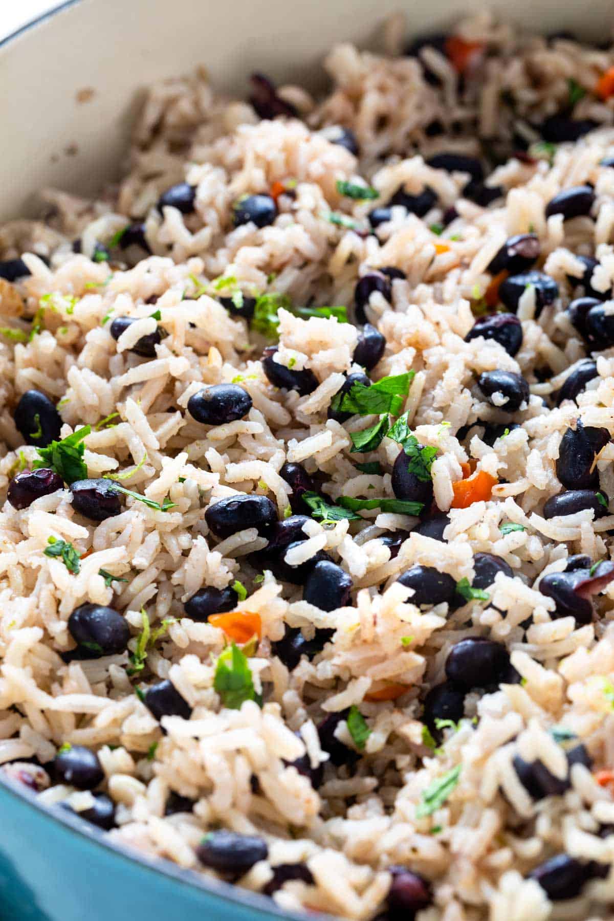 Black Beans and Rice - Jessica Gavin