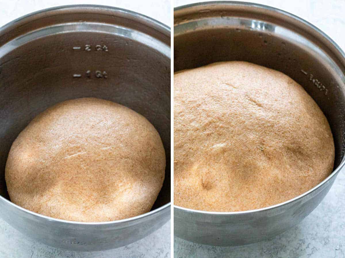 Easy Whole Wheat Bread Recipe - Jessica Gavin