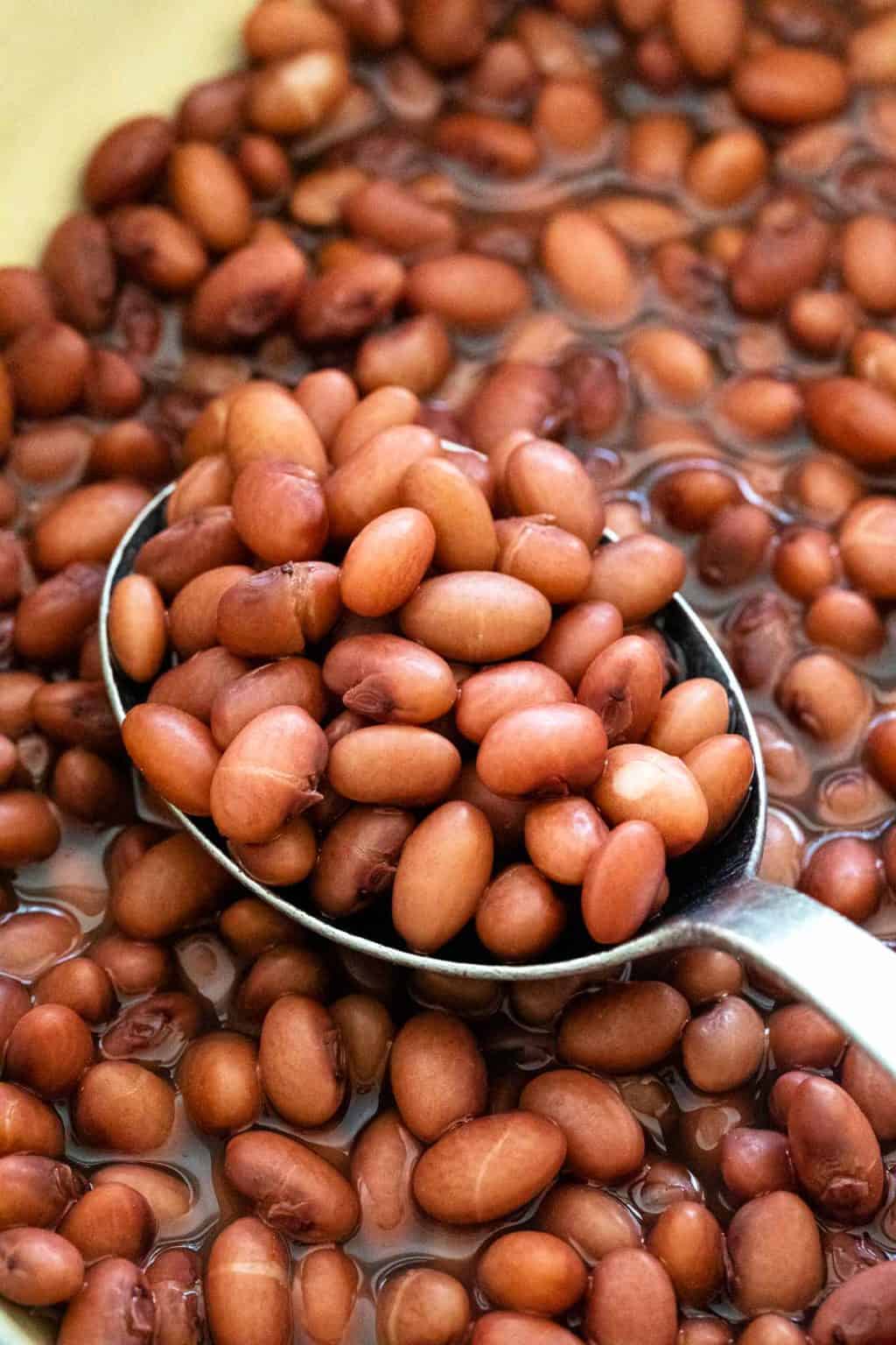 Quick Soak Beans for Faster Cooking - Jessica Gavin