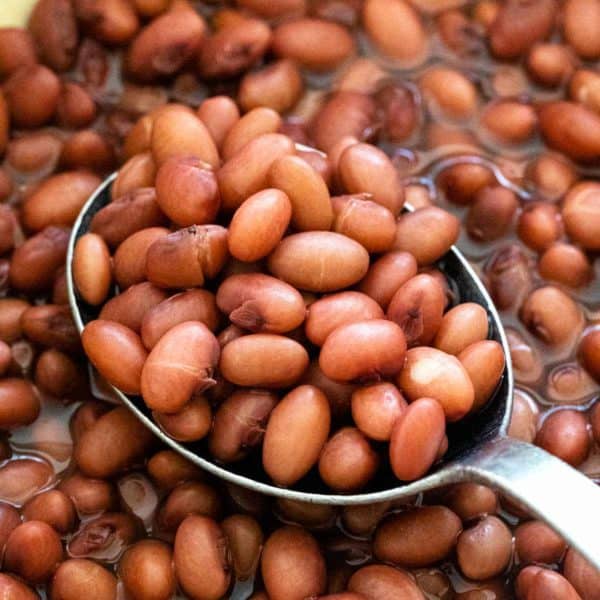Quick Soak Beans for Faster Cooking - Jessica Gavin