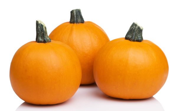 Types of Edible Pumpkins - Jessica Gavin