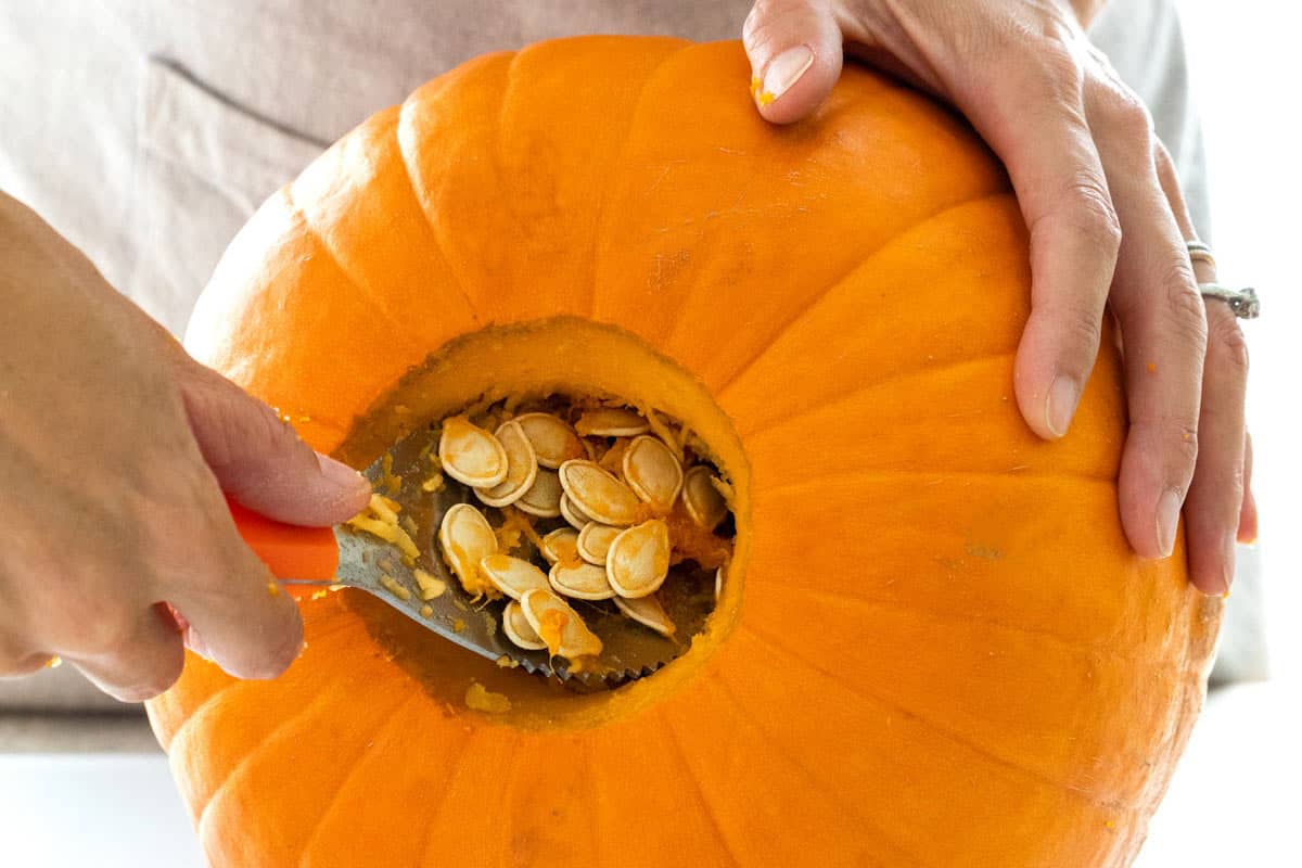 How to Carve a Pumpkin - Jessica Gavin