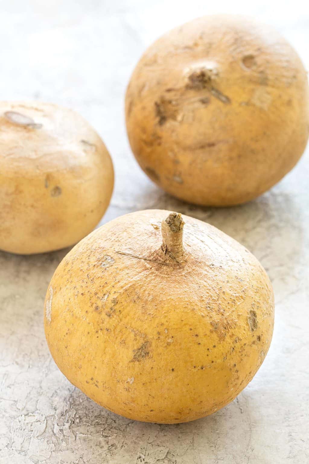 What is Jicama? - Jessica Gavin