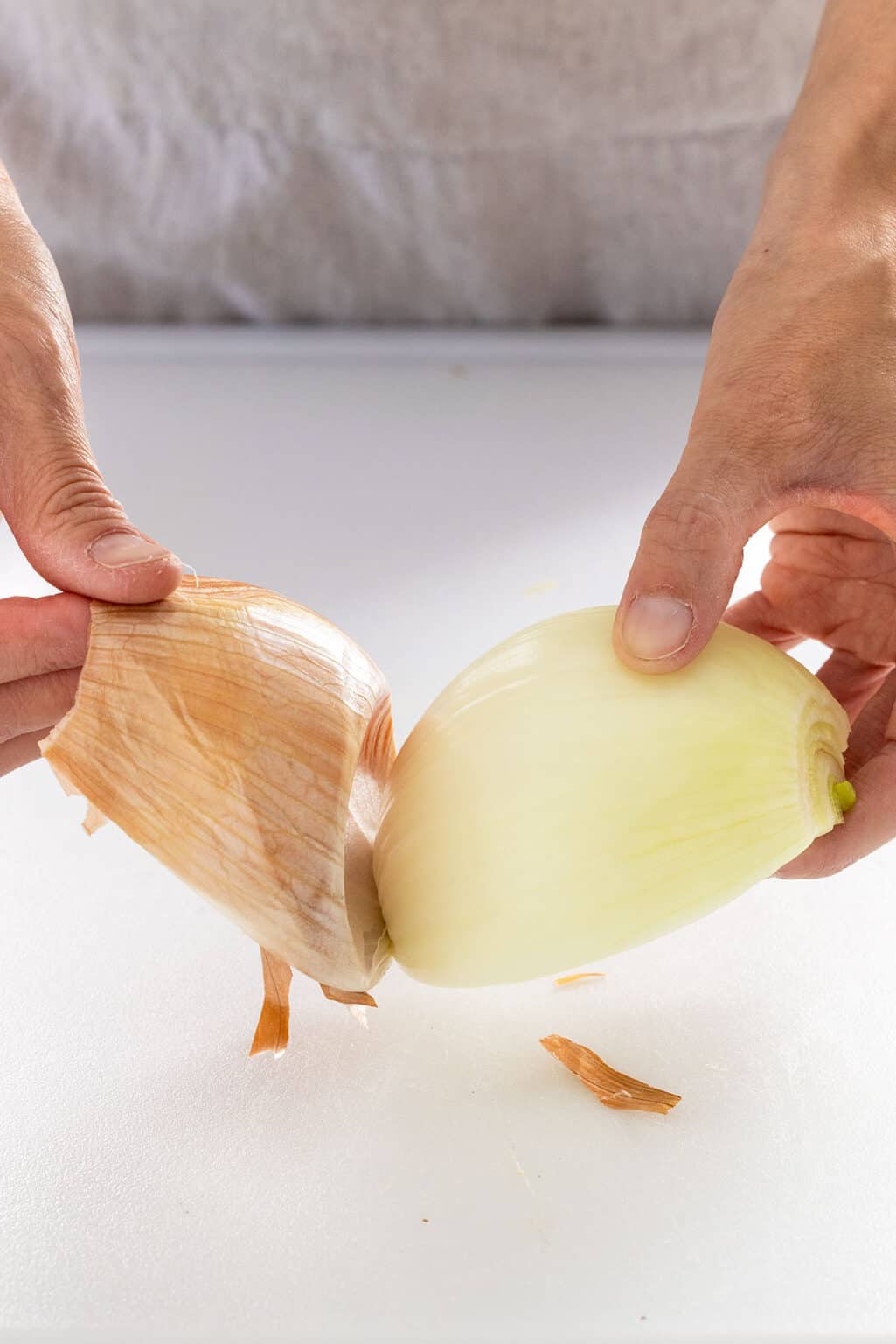 How to Cut an Onion - Jessica Gavin