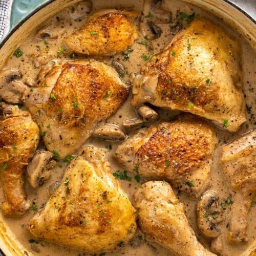 Chicken Fricassee Recipe - Jessica Gavin