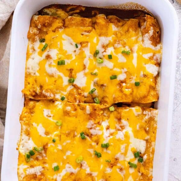 Cheese Enchilada Recipe - Jessica Gavin