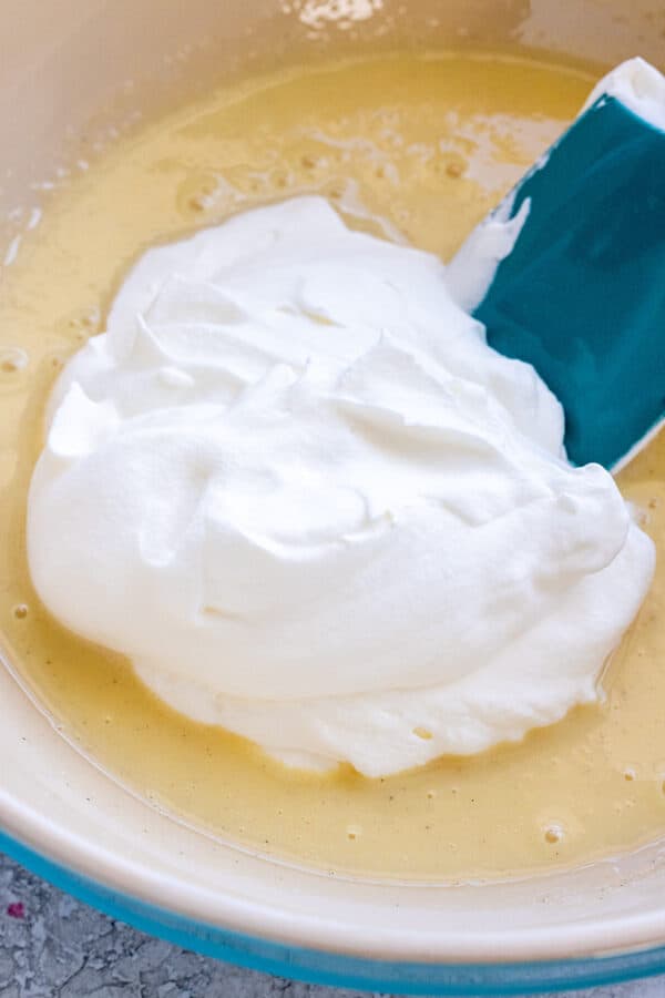 No Churn Vanilla Ice Cream Recipe - Jessica Gavin
