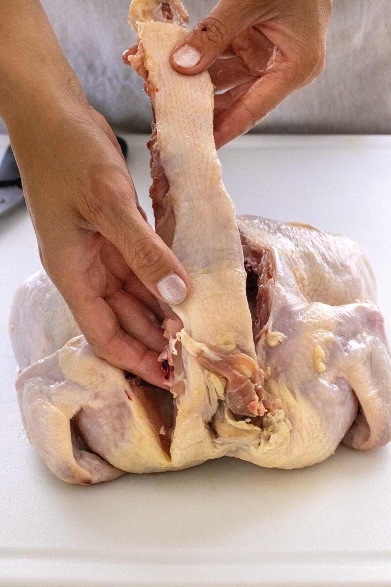 Peruvian Chicken Recipe - Jessica Gavin